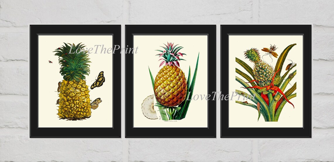 Pineapple Tropical Wall Art Set of 3 Prints Beautiful Antique - Etsy