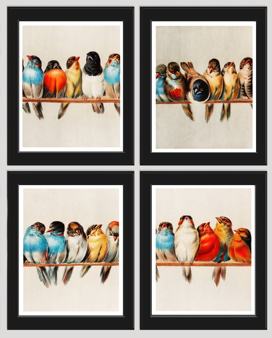 A Perch of Birds Print Set of 4 Prints Beautiful Vintage Antique Blue ...