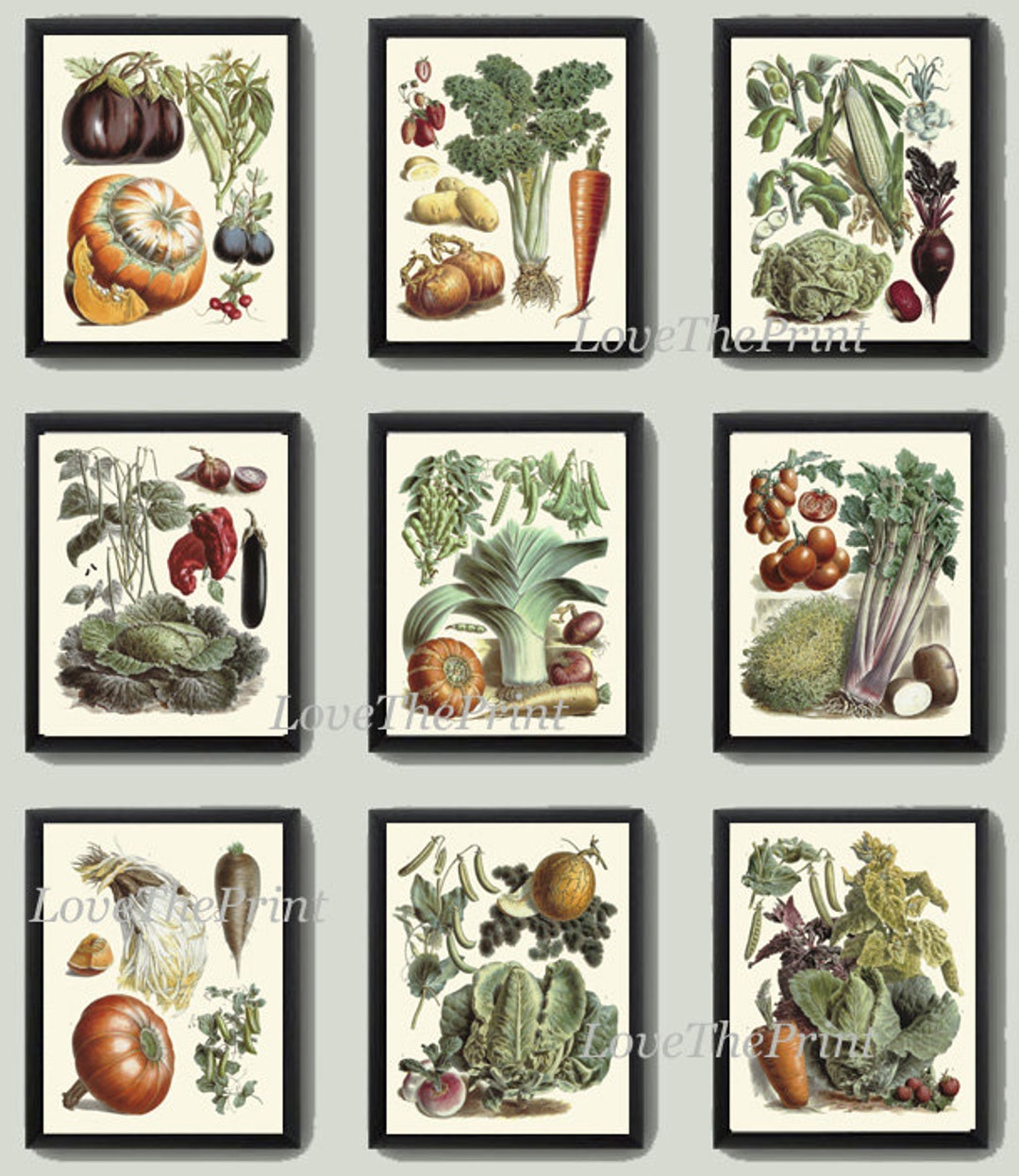 Vegetable Print Set of 9 Wall Art Beautiful Antique French Garden ...