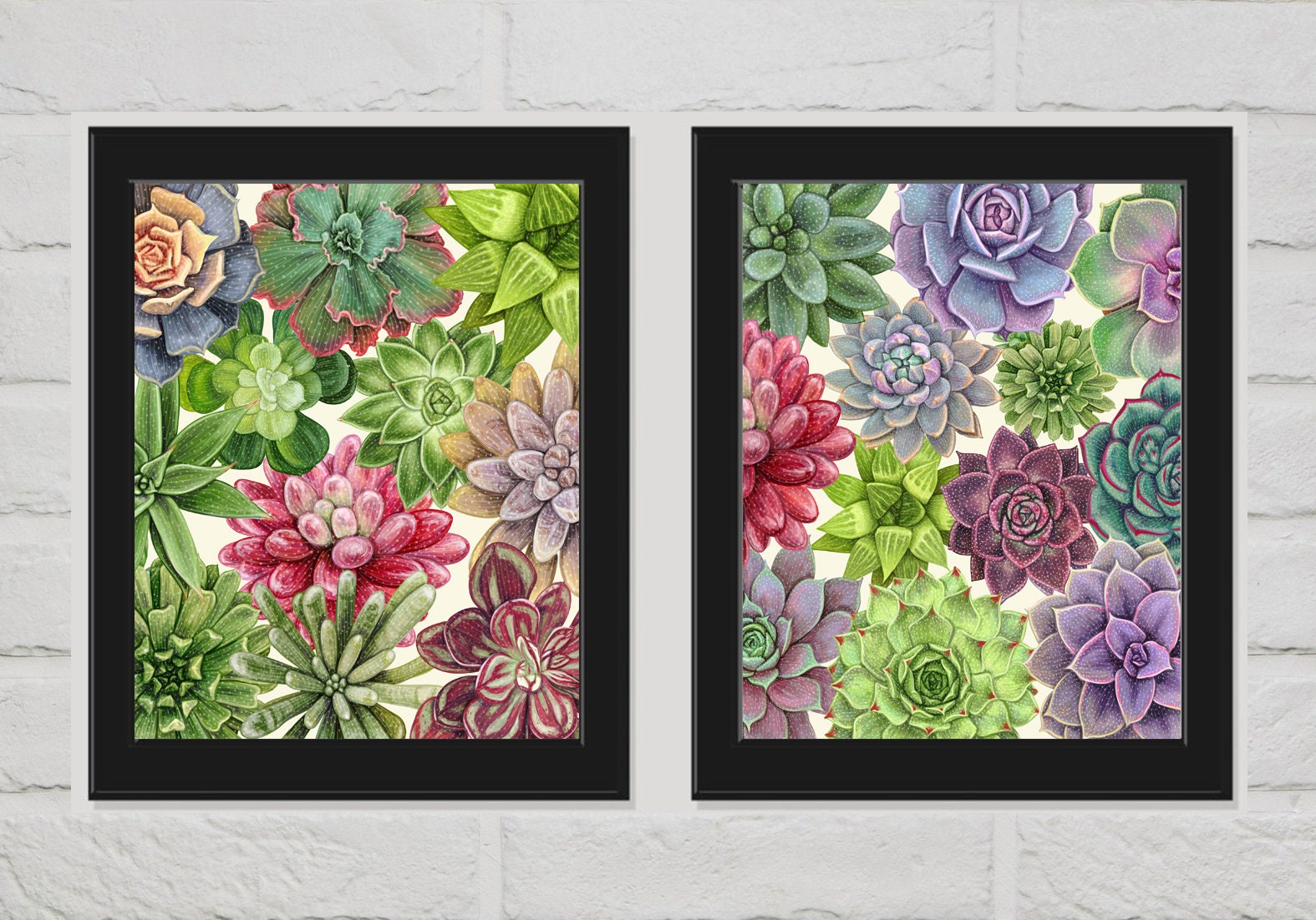 Succulent Print Set of 2 Prints Beautiful Illustration Picture | Etsy