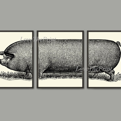 Farmhouse Pig Print Wall Art Set of 3 Beautiful Vintage - Etsy
