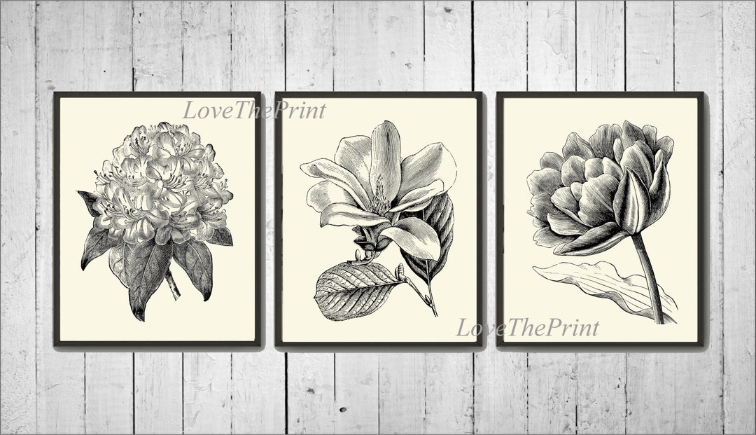 Black and White Botanical Flowers Print Wall Art Set of 3 Beautiful ...