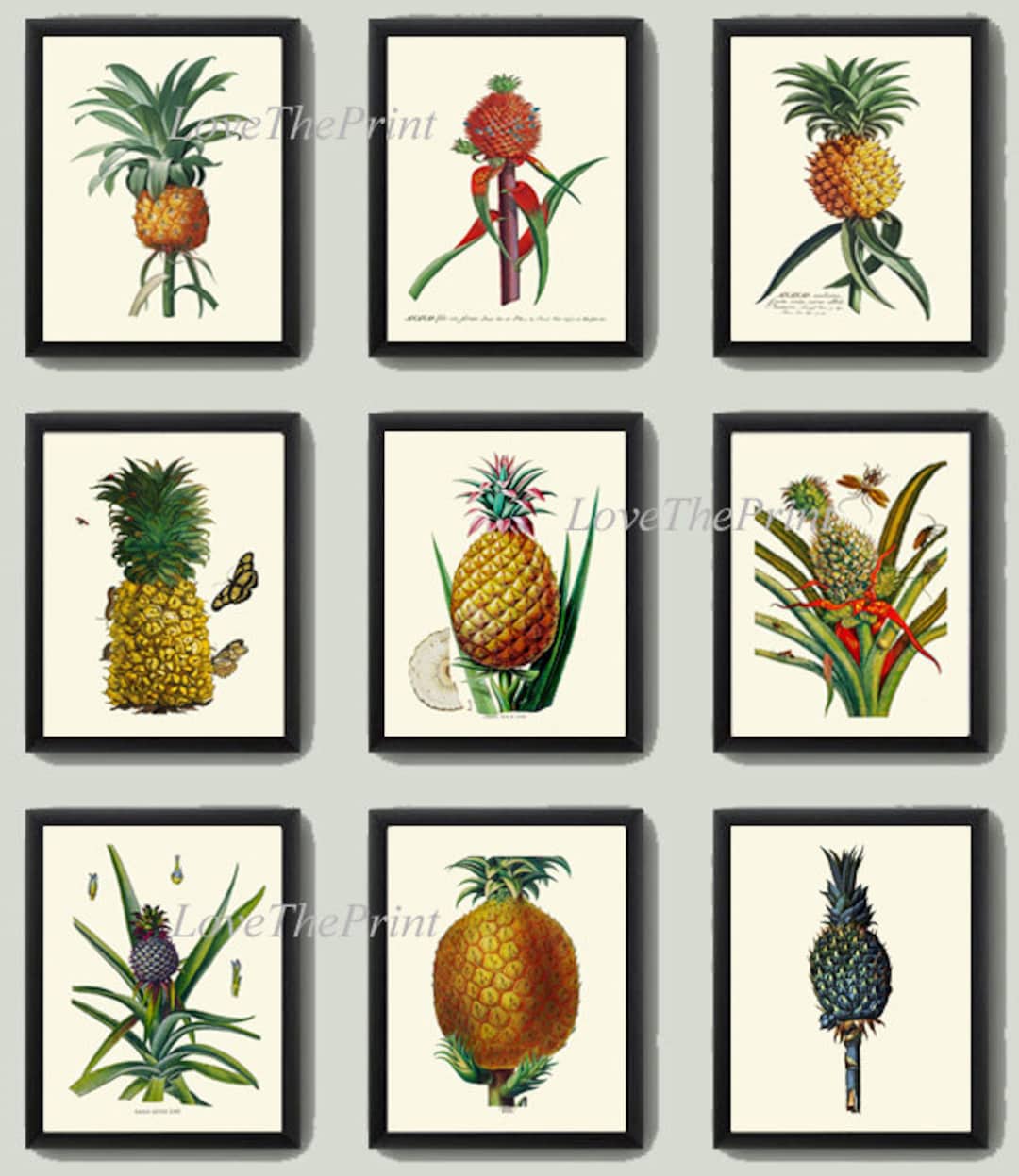 Pineapple Wall Art Print Set of 9 Antique Beautiful Antique Vintage ...