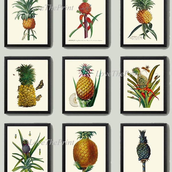 Pineapple Poster - Etsy