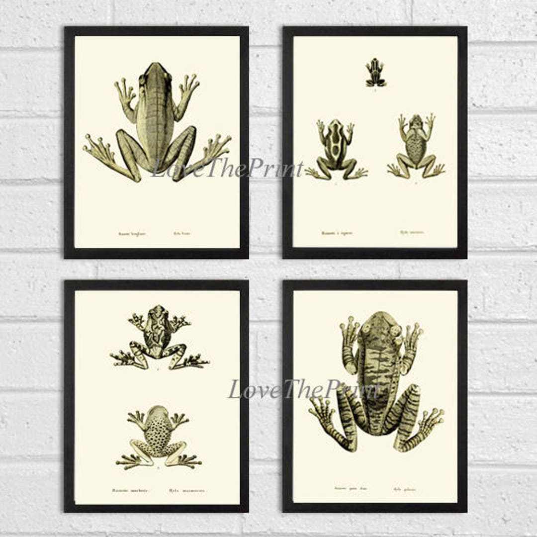 Frog Art Print Set of 4 Antique Beautiful Lake Pond River Nature Book ...