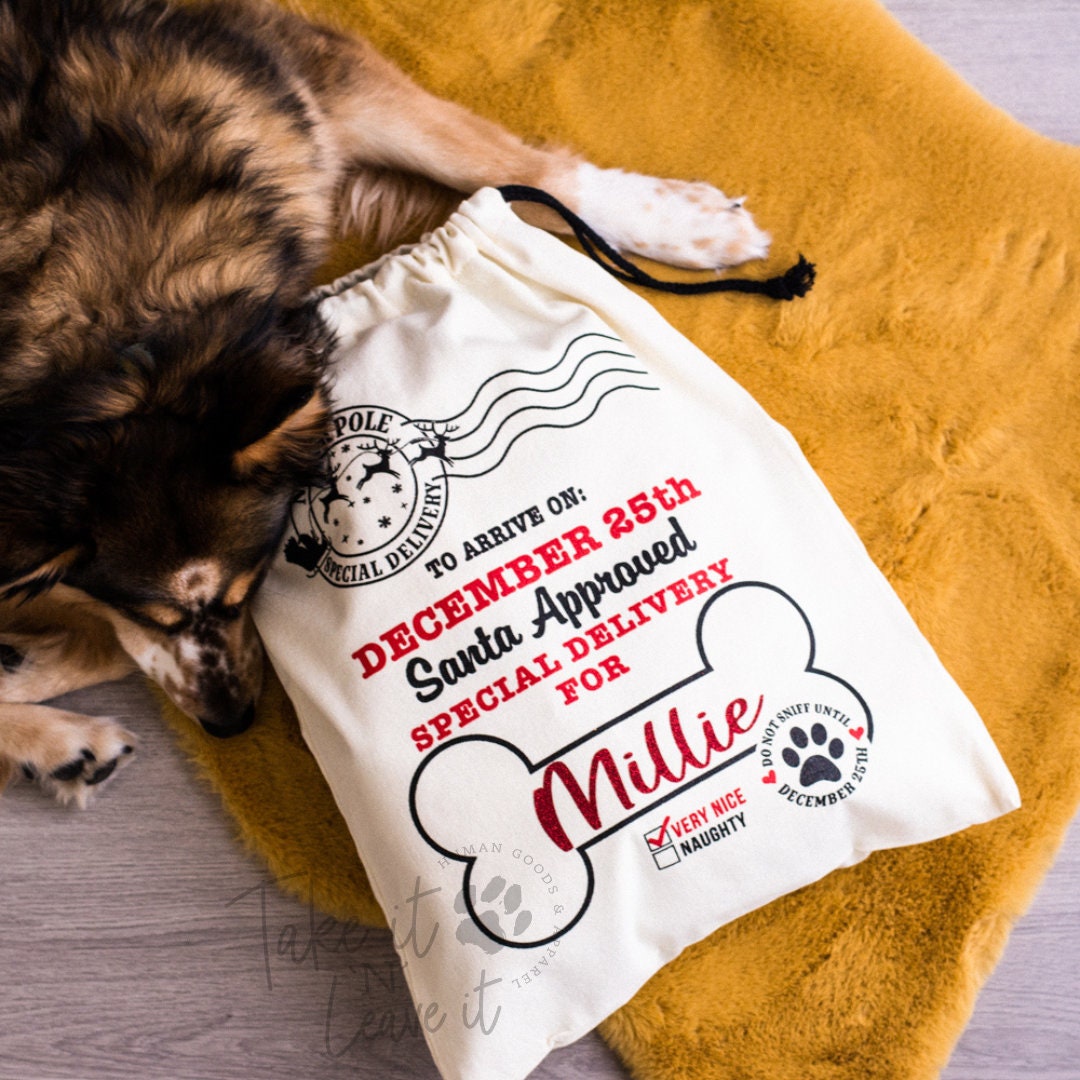 Christmas Santa Sack for the DOG dog Lover Santa Paws Gift Bag Home ...