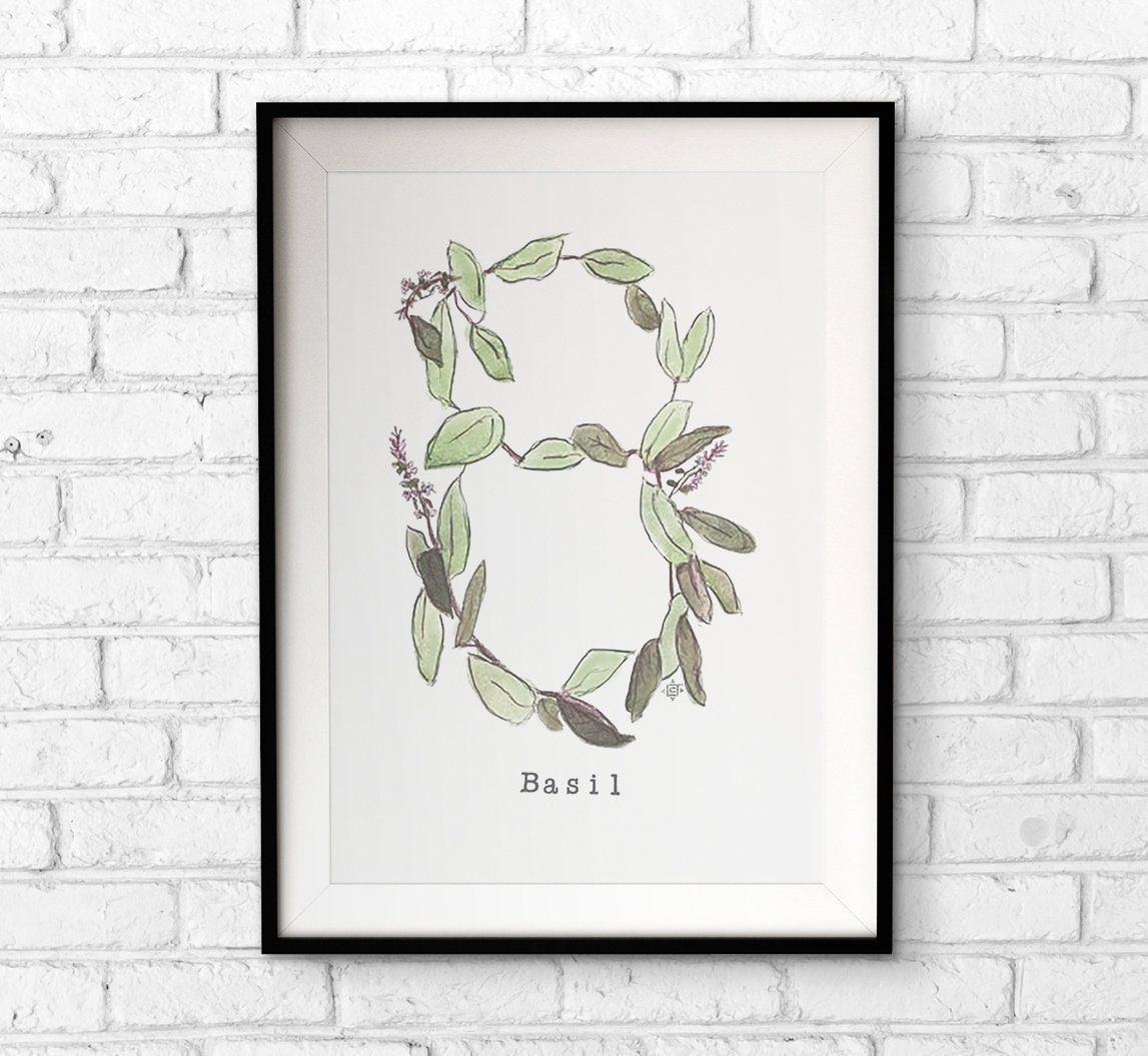 5 X 7 Watercolor Herb Alphabet Wall Print - Letter B for Basil Plant ...