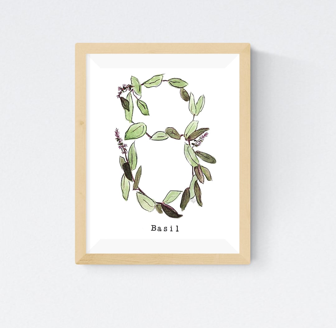 5 X 7 Watercolor Herb Alphabet Wall Print - Letter B for Basil Plant ...