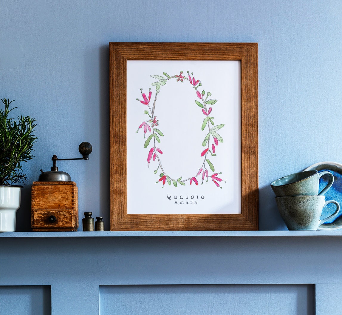 Watercolor Flower Alphabet Print - Letter Q - Quassia Amara - Etsy