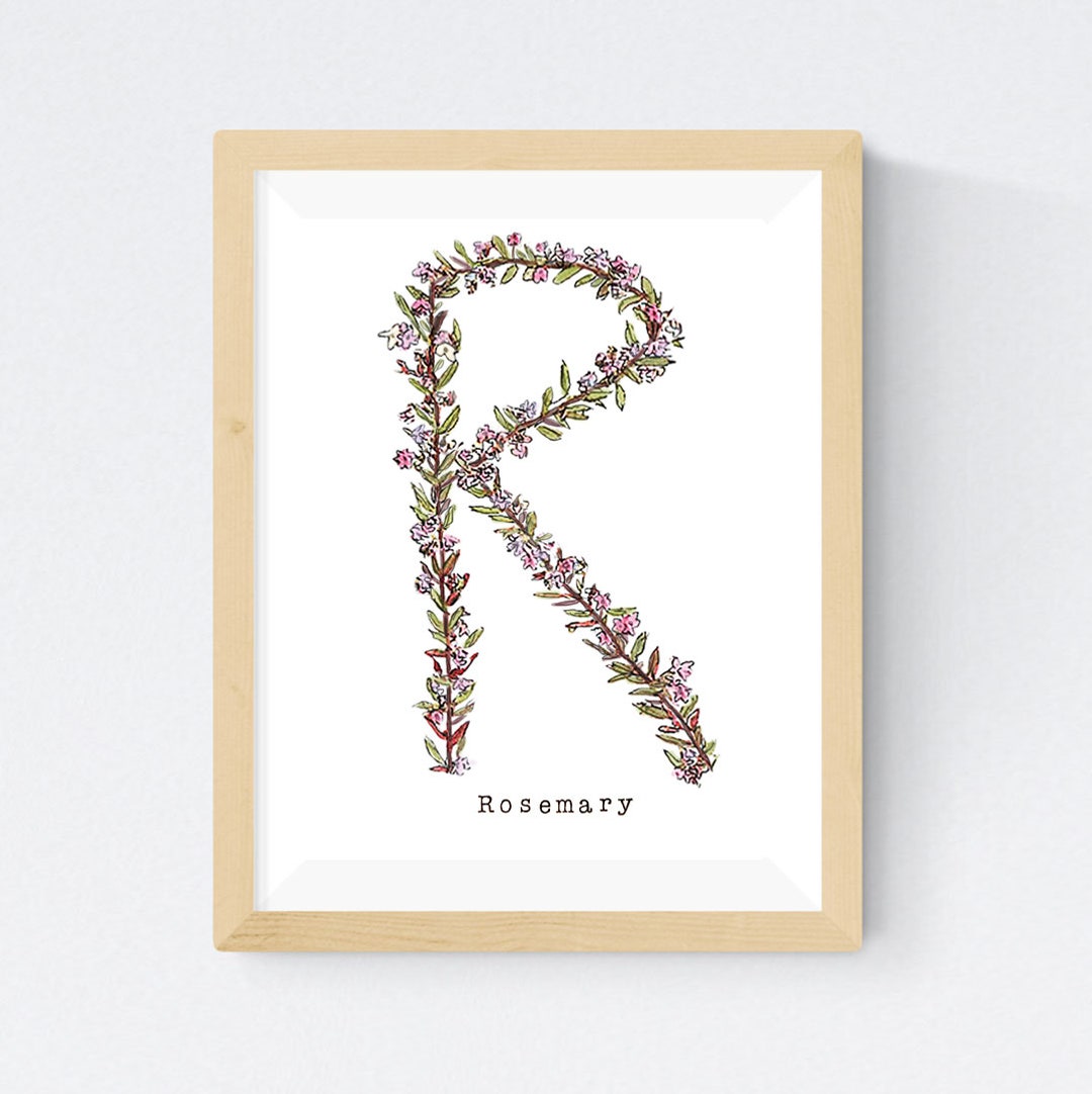 5 X 7 Watercolor Herb Alphabet Wall Print - Letter R for Rosemary ...