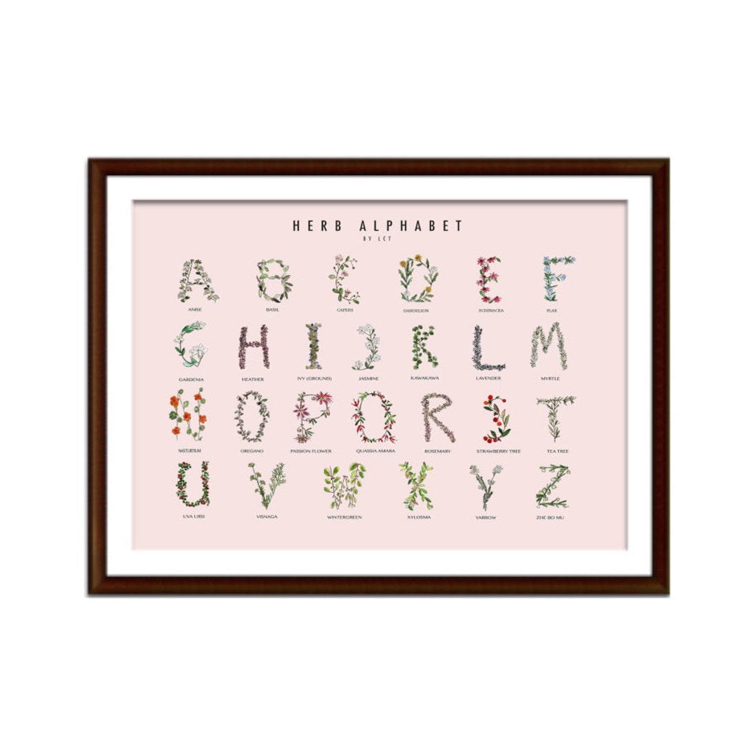 Watercolor Alphabet Shaped Herb Letter Design Giclee Fine Art Posters ...