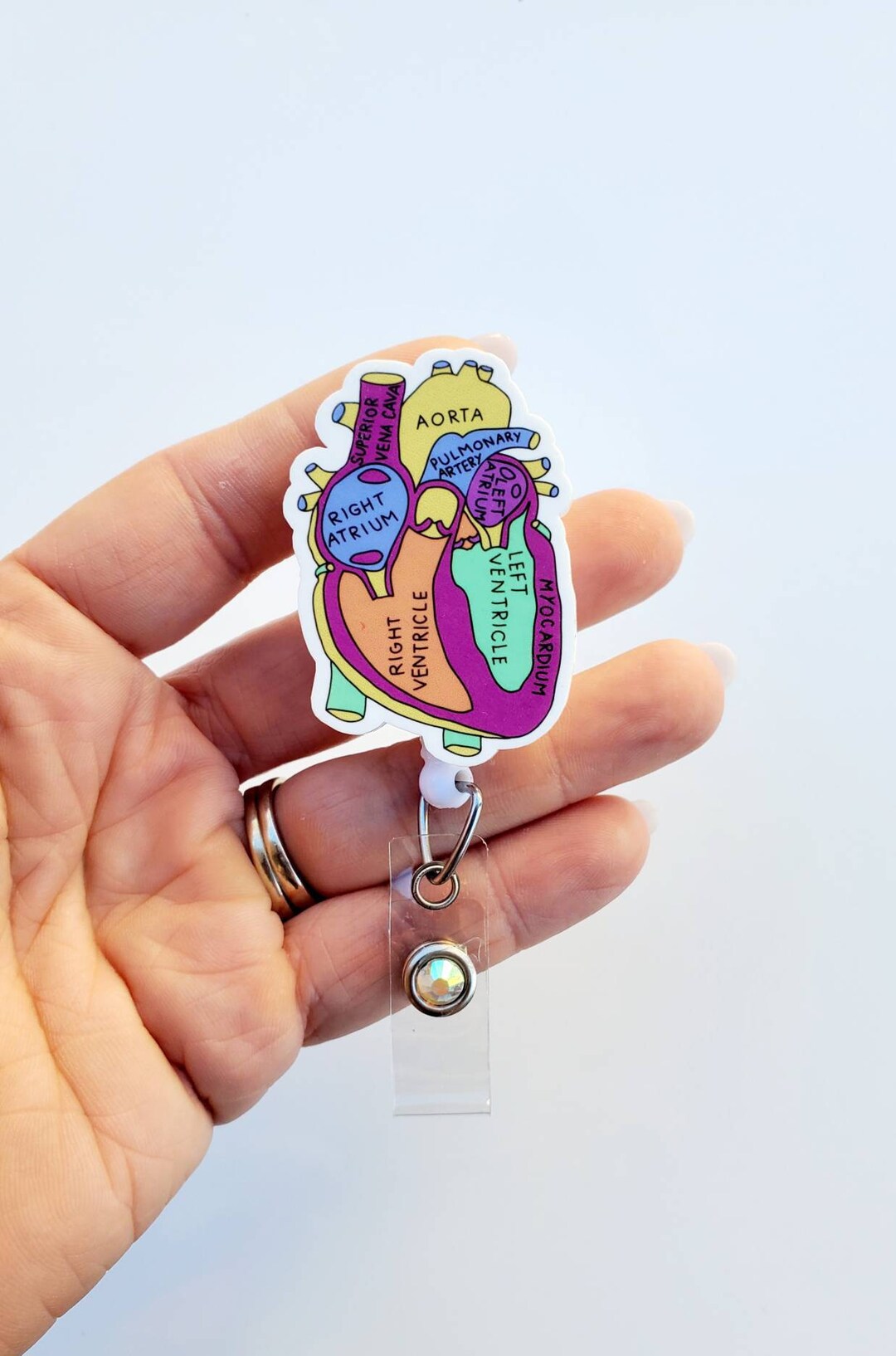 Heart Anatomy Badge Reel Cardiology Badge Nursing Student - Etsy