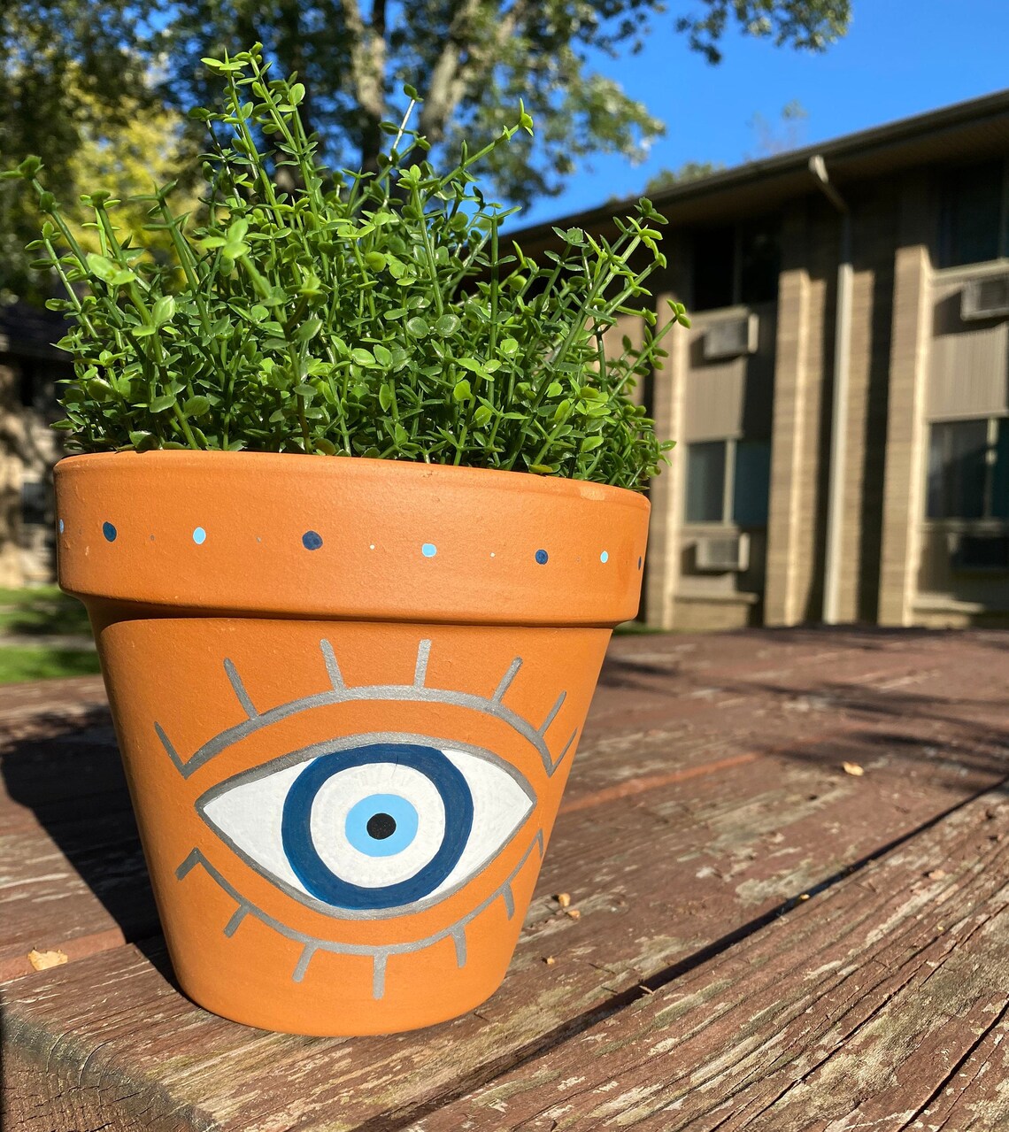 Custom Pot Creation Hand Painted Terracotta Pot | Etsy
