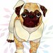 Stained Glass Pug Pattern - Dog Pattern Template - Etsy