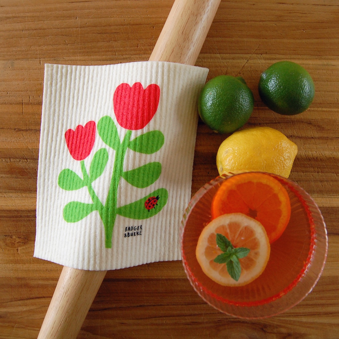 Ladybug Sponge Cloth - Etsy