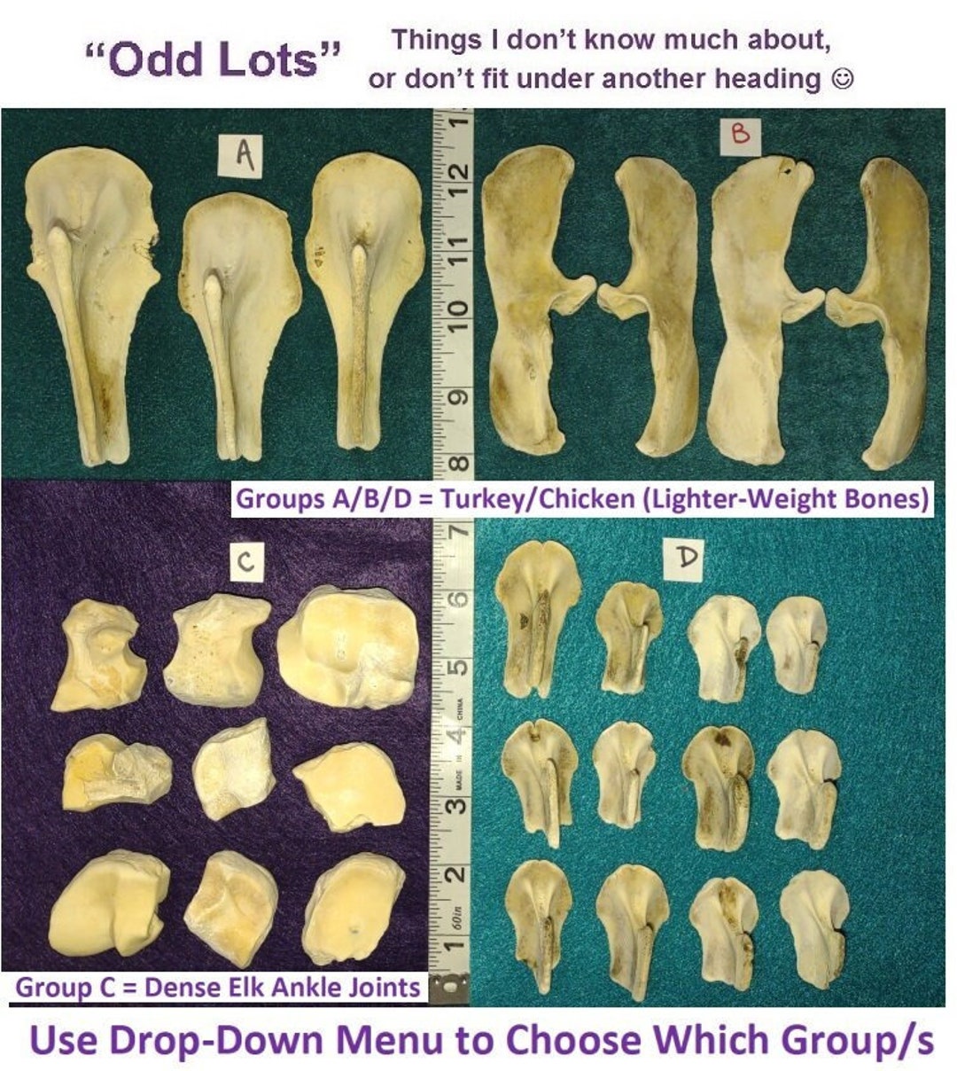 Odd Lots for Scrying / Voodoo / Divination / Crafting / Costumes ...