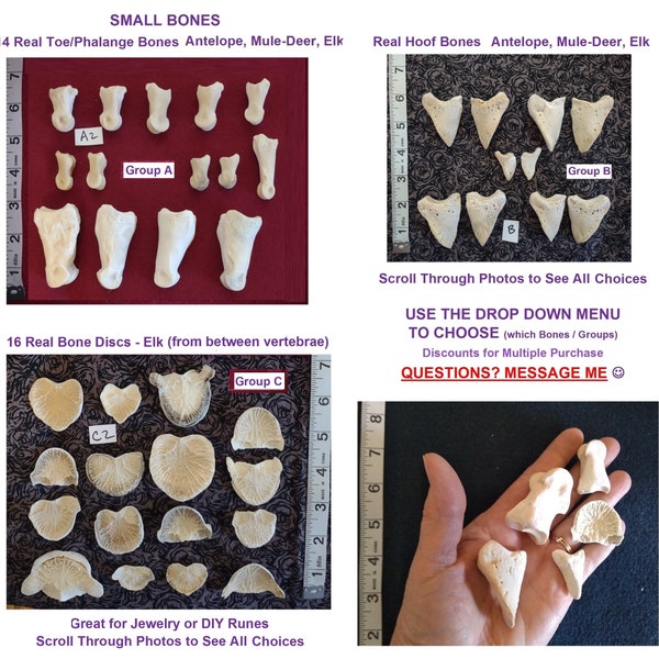 Toe Bones - Etsy