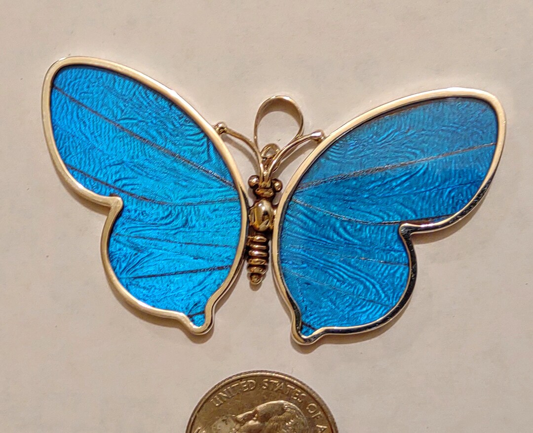 HUGE Butterfly Wing Pendant, Real Butterflies, Butterfly Pendants ...