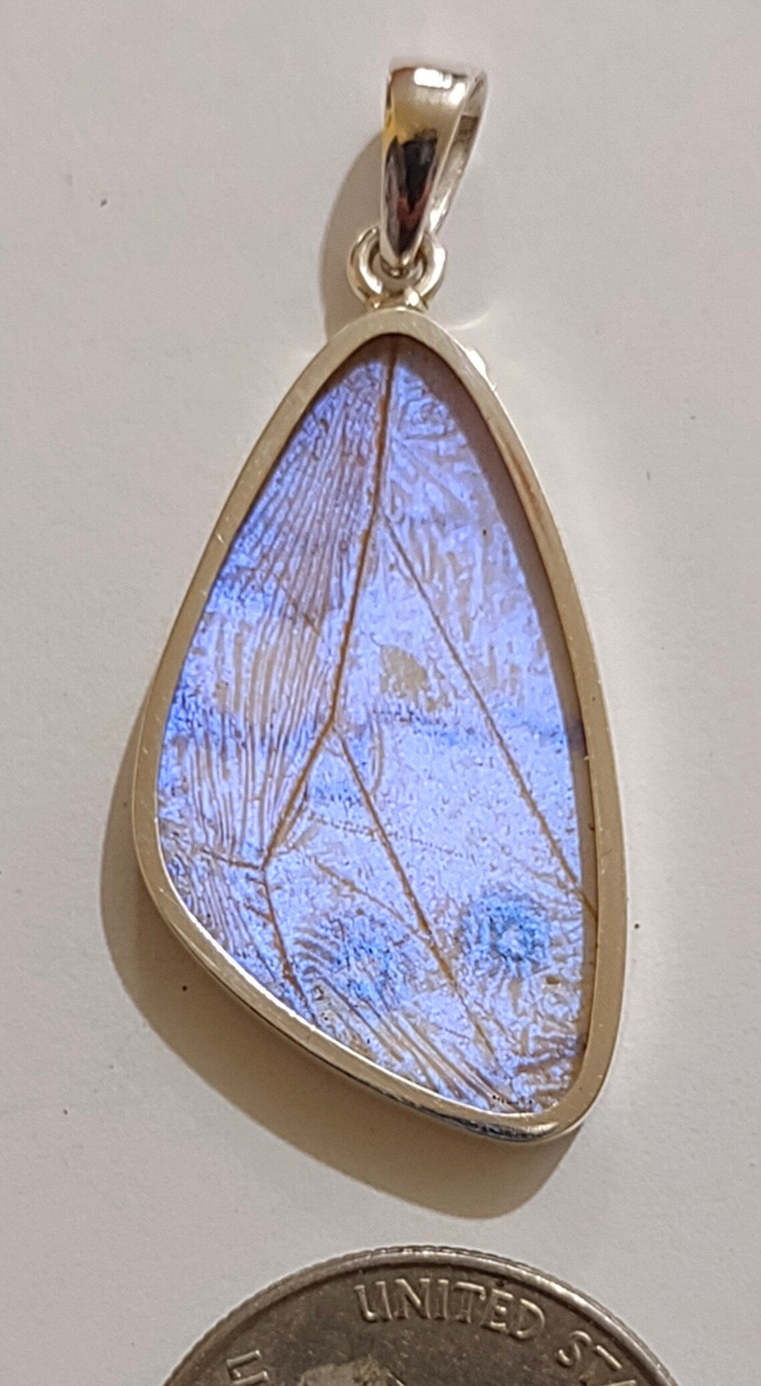 Butterfly Wing Jewelry, Real Butterflies, Butterfly Pendants, Butterfly ...