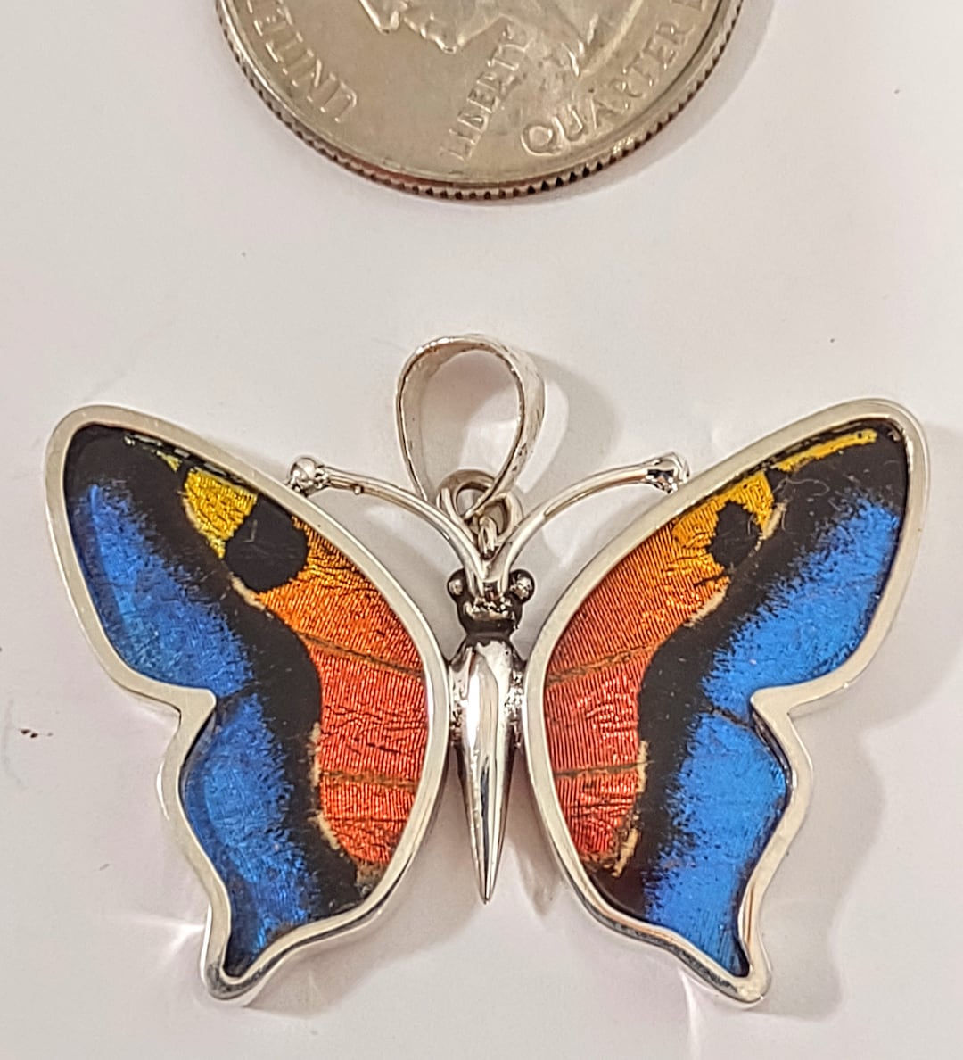 Butterfly Wing Jewelry, Real Butterflies, Butterfly Pendants, Butterfly ...