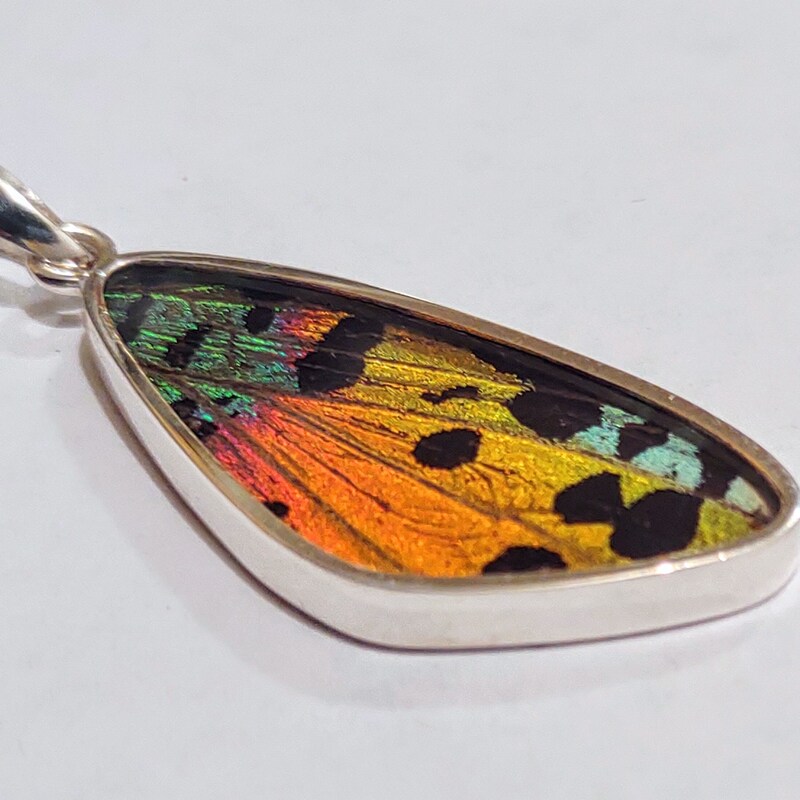 Butterfly Jewelry - Etsy