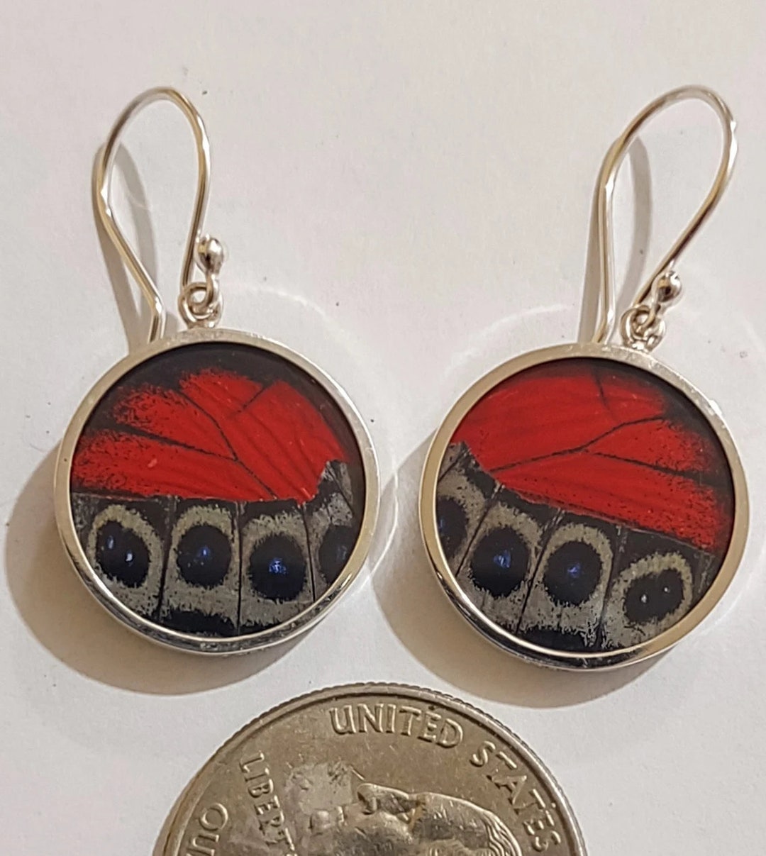 Butterfly Wing Jewelry, Real Butterflies, Butterfly Pendants, Butterfly ...