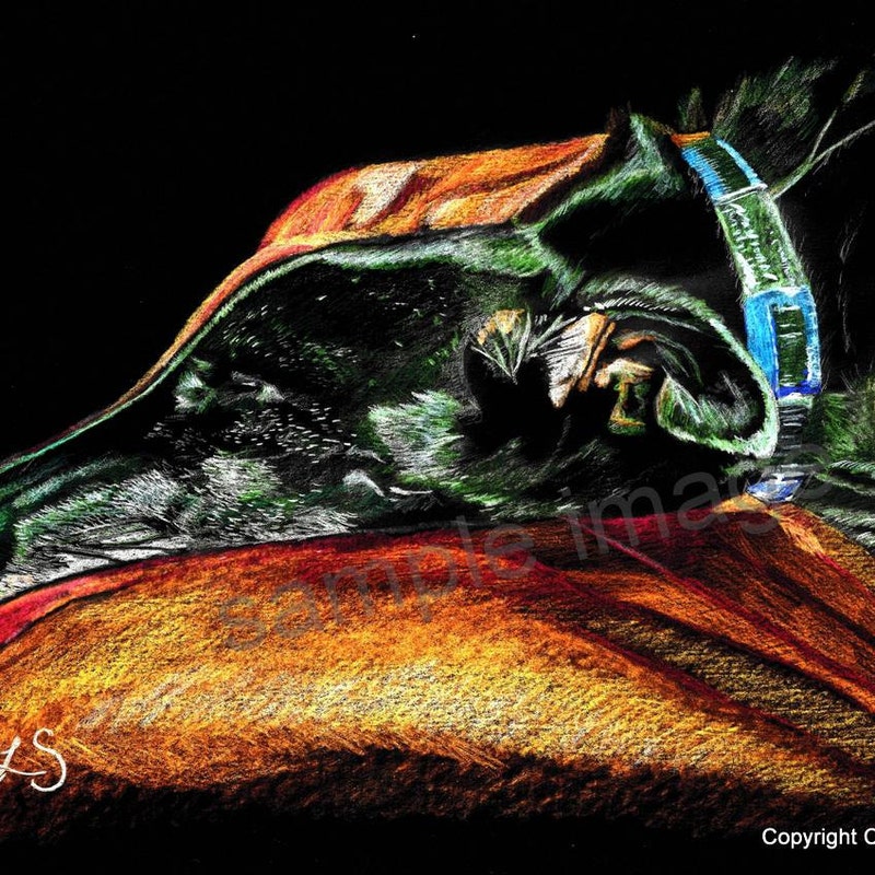 Pencil Drawing of Greyhound - Etsy UK