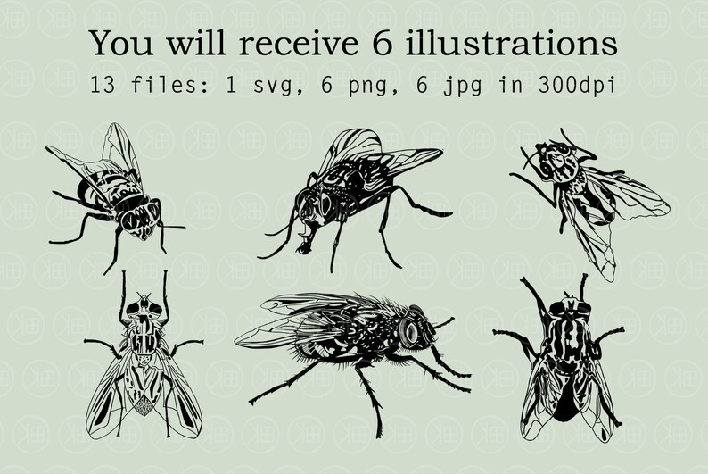 6 Flies Line Art Illustrations - Etsy
