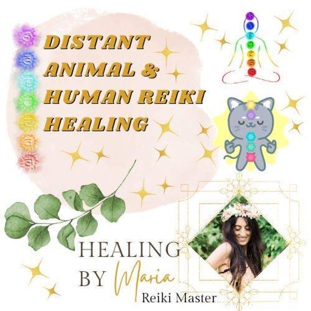 Reiki Healing for Animals and Humans - Etsy