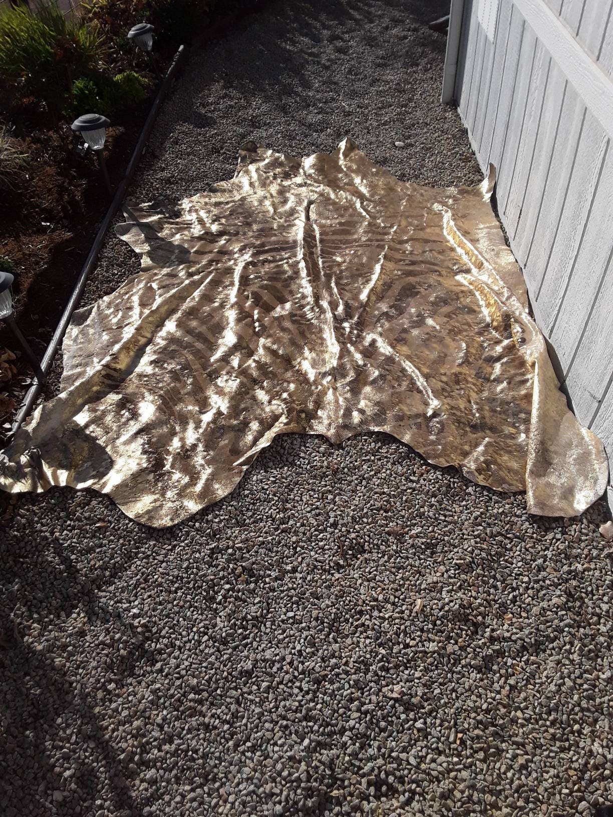 Huge Extra Large Zebra Print Gold Acid Wash Cowhide Rug