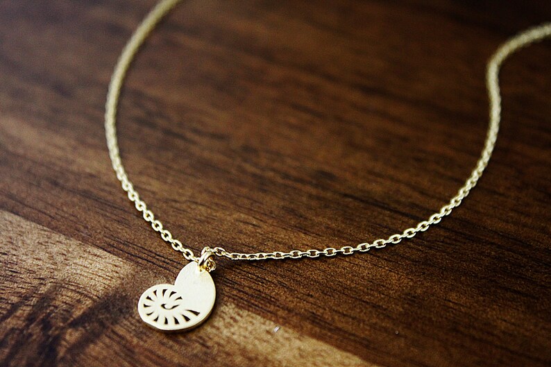 Turbo Charm Necklace Gold and Silver Shell of Turbo Necklace | Etsy