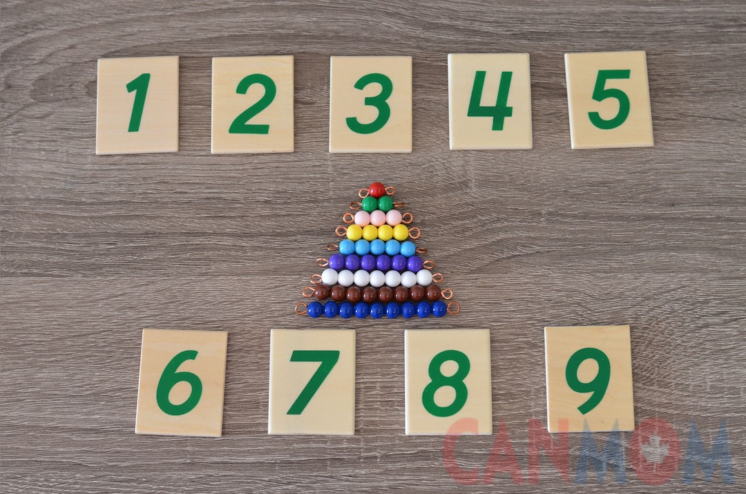 Montessori Learn Number Bead Bars Set With Wooden Number Card - Etsy