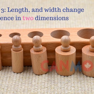 Montessori Knobbed Cylinder Blocks / Preschool Learning Puzzle ...