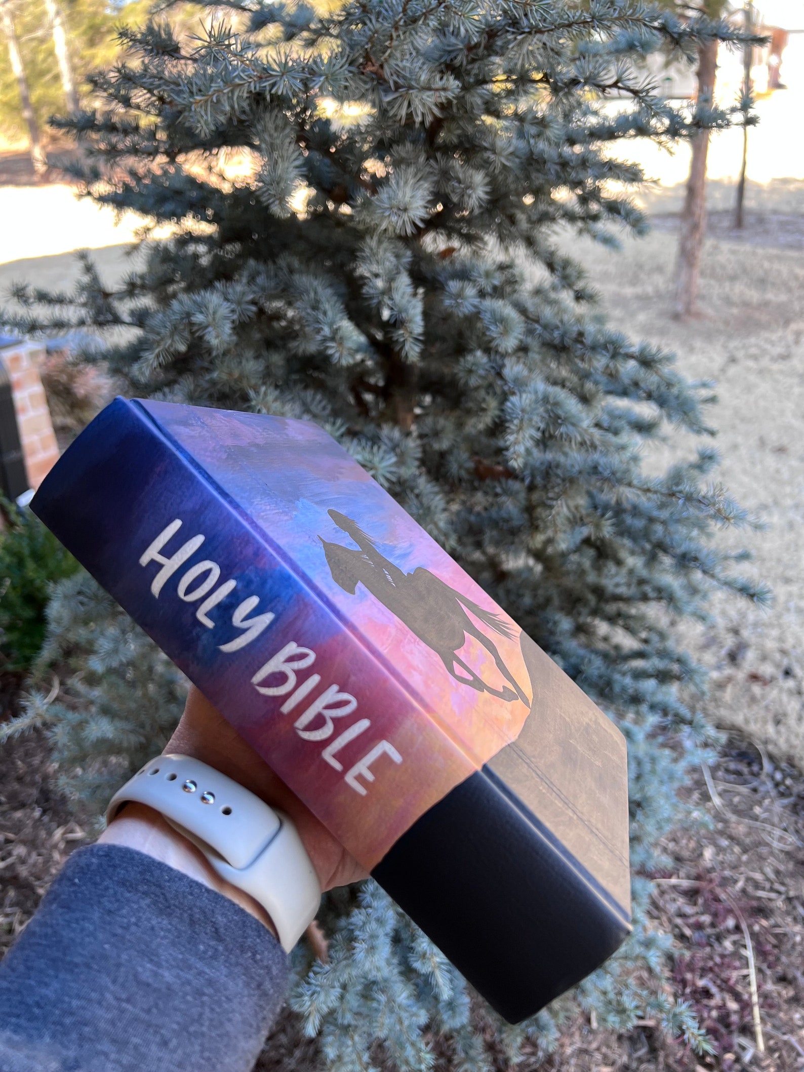 Hand Painted Bible, Horse and Rider, Sunset Landscape, Bible Sleeve/bag ...