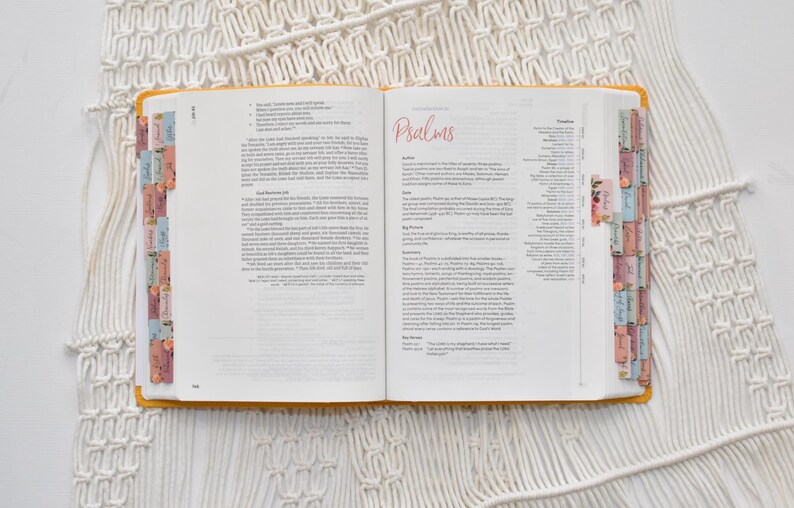 She Reads Truth CSB Marigold Tabbed Bible + Bag Option - Etsy