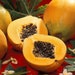 25 Original Solo Sunset Papaya Seeds Fruits at Few Feet Tall in 9 ...