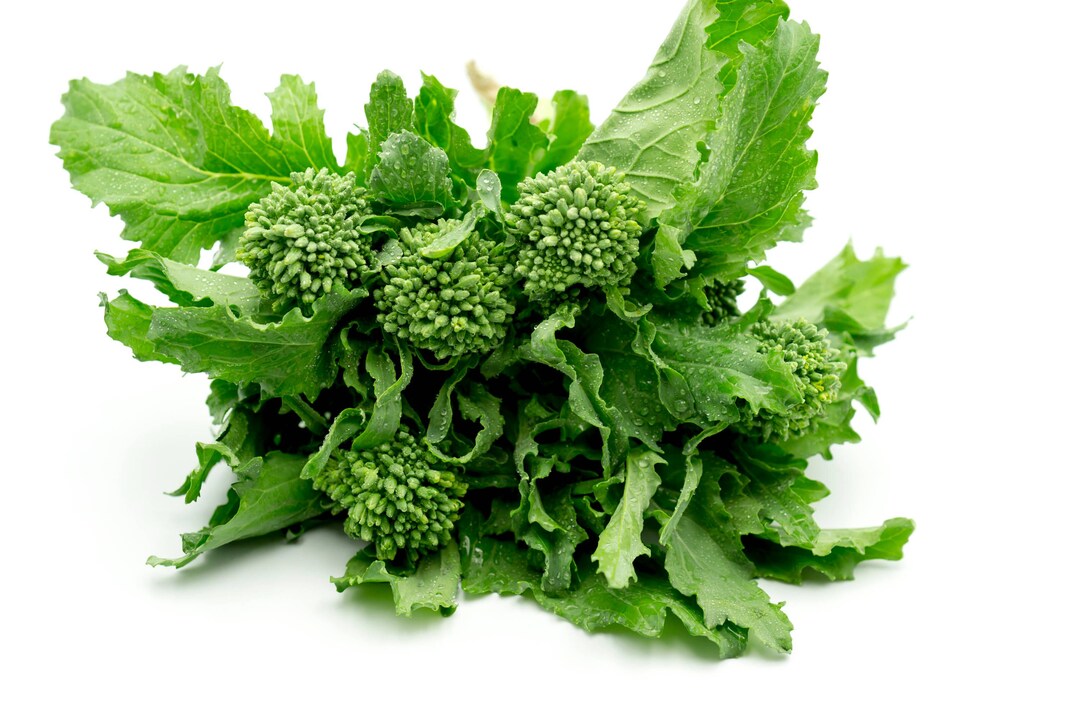 Broccoli Raab Seeds Non-gmo, Ships With Tracking , Flowering Brassica ...