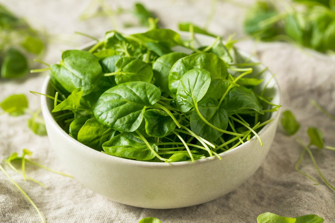 True Watercress Seeds, Non-gmo, Shipped W/ Tracking, Heirloom , Edible ...