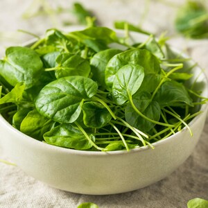True Watercress Seeds, Non-gmo, Shipped W/ Tracking, Heirloom , Edible ...
