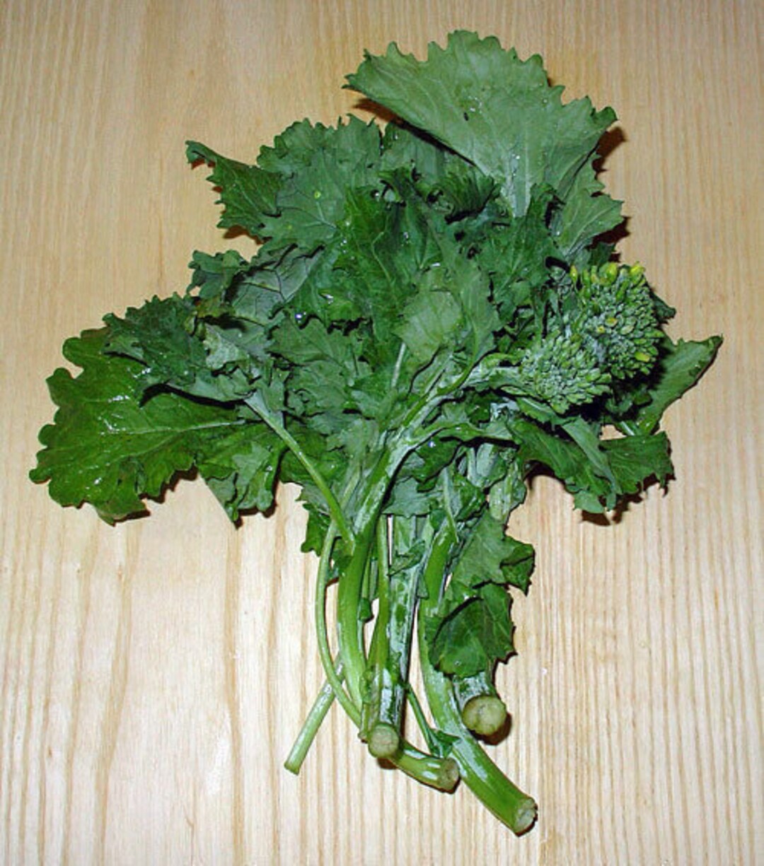 1000 Broccoli Raab Seeds (rabe, Rapini) Flowering Brassica - Etsy