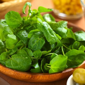 True Watercress Seeds, Non-gmo, Shipped W/ Tracking, Heirloom , Edible ...