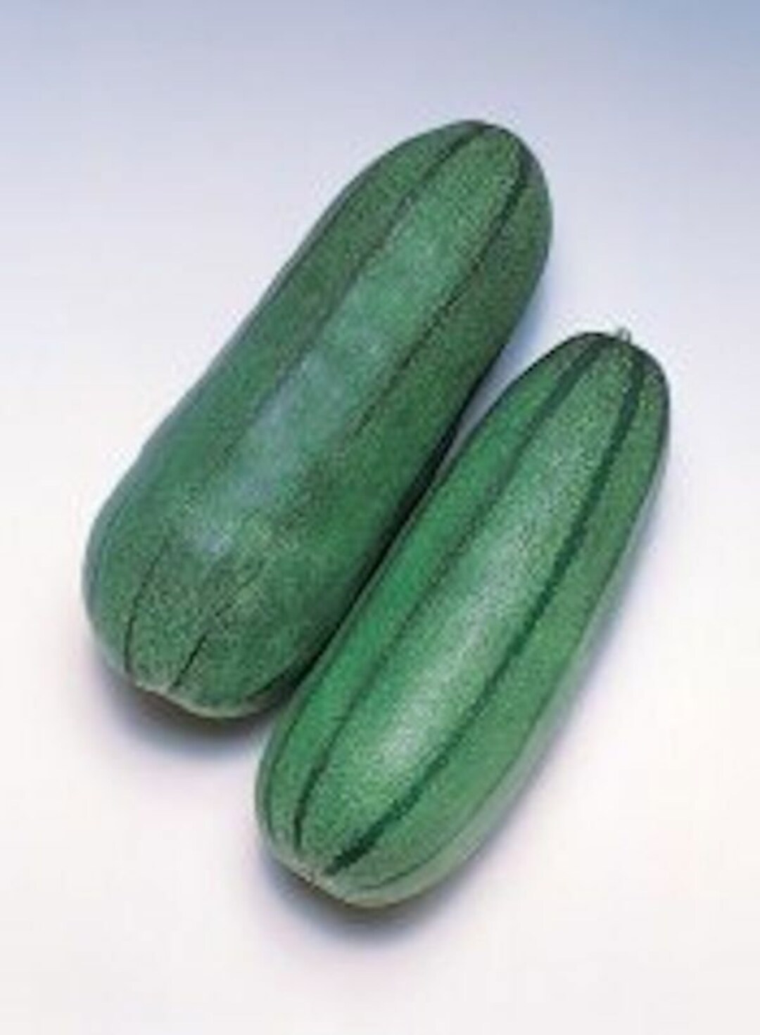 Green Striped Pickling Melon Seeds Cucumis Melo Var Conomom Seed ...