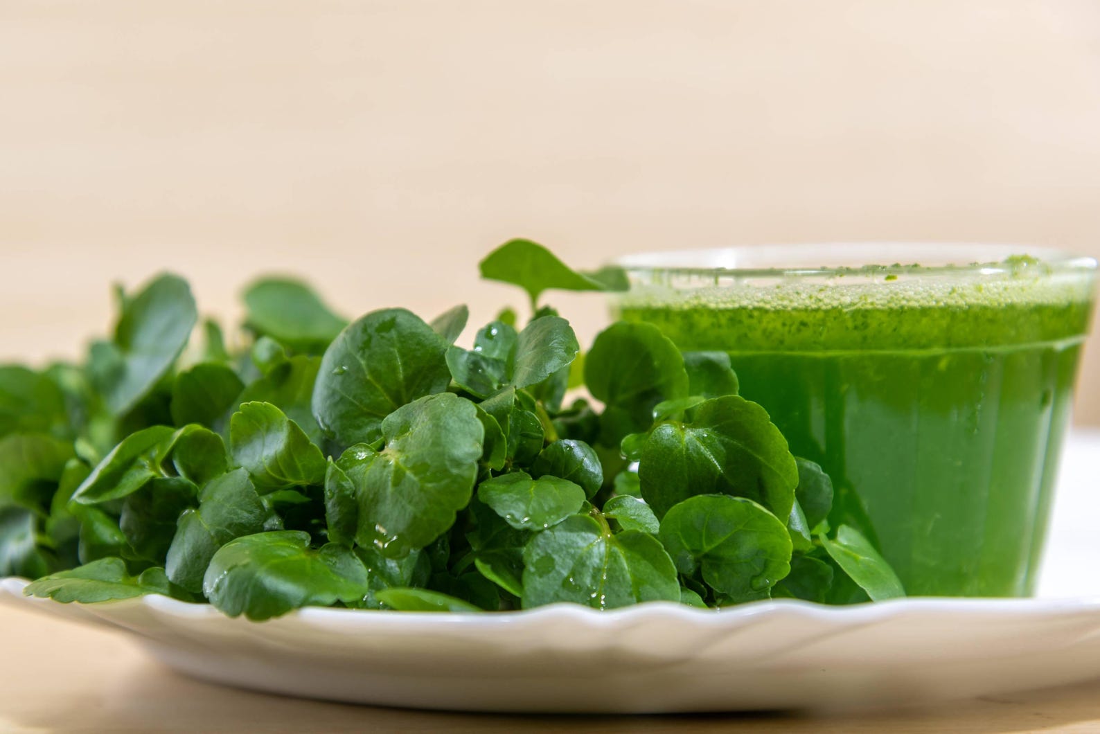 True Watercress Seeds, Non-gmo, Shipped W/ Tracking, Heirloom , Edible ...