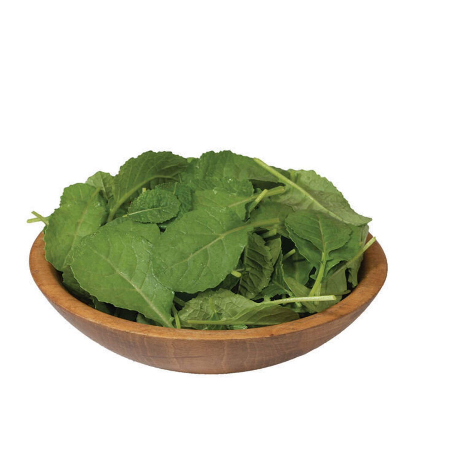 1,000 Ethiopian Kale Seeds Brassica Carinata Non-gmo Heirloom Free ...
