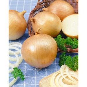 Vidalia Yellow Extra Sweet Hybrid F1 Onion Seeds, Non-gmo, Heirloom ...