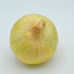 Vidalia Yellow Extra Sweet Hybrid F1 Onion Seeds, Non-gmo, Heirloom ...