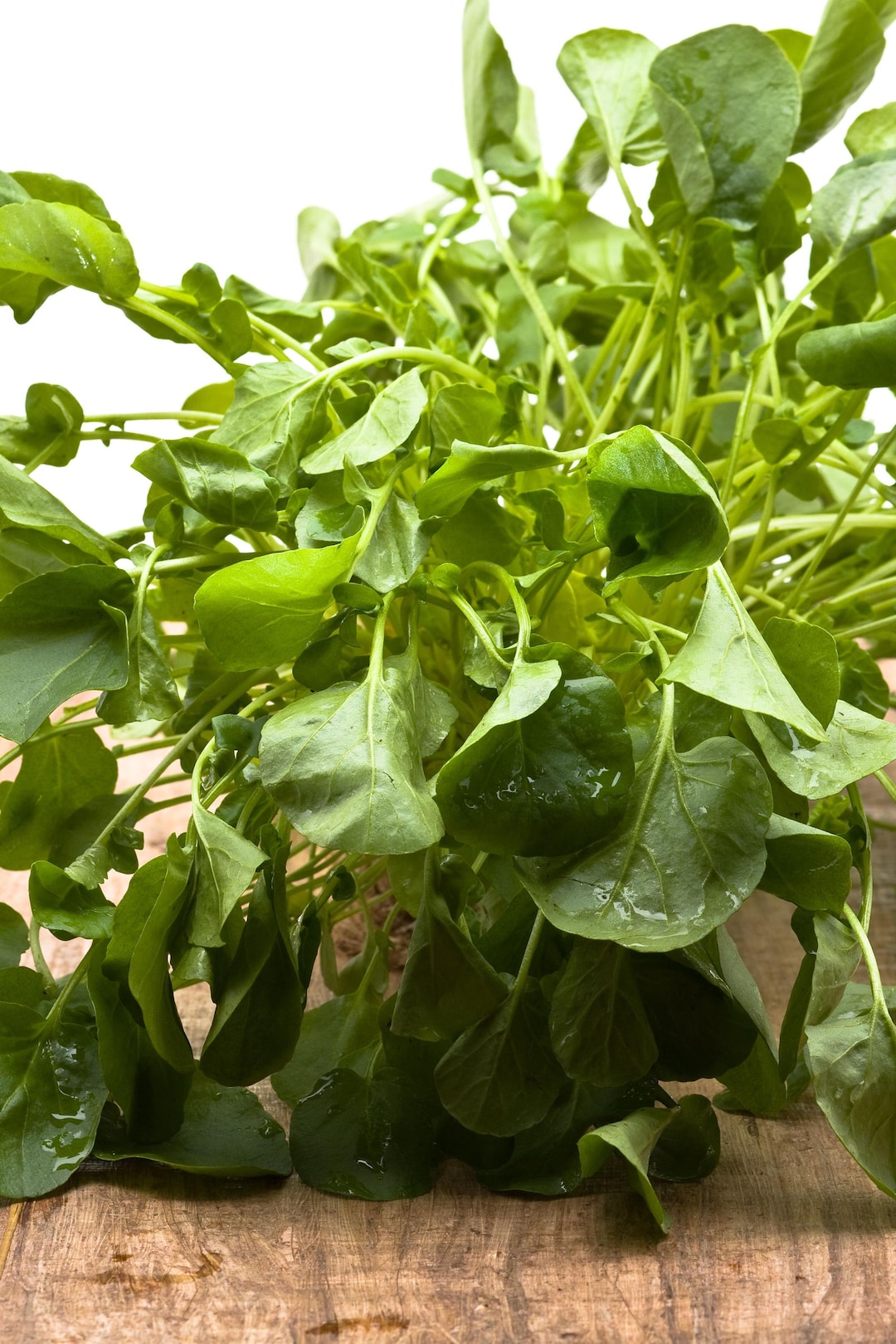 Upland Cress Seeds Non-gmo Heirloom, Creasy Greens, Tracking Included ...