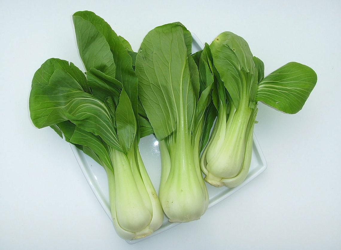 1500 Canton Pak Choi Bok Choy Chinese Cabbage Seeds Non-gmo Usa Seller ...