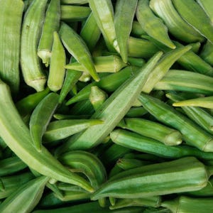 Emerald Okra Seeds Non-gmo Heirloom, Tracking Included, Gardening Gift ...