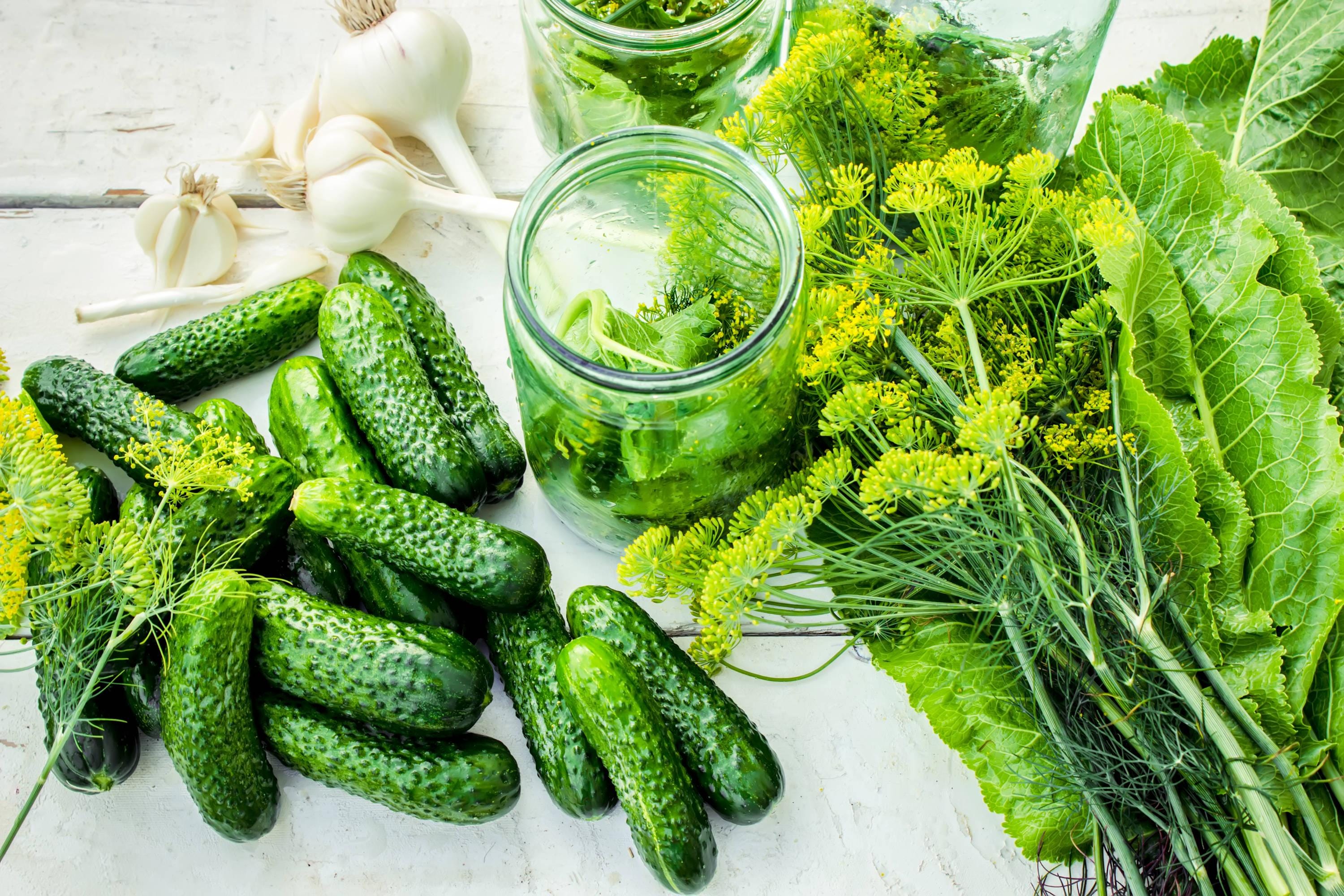 Boston Pickling Cucumber Seeds, Non-gmo, Trackable Shipping, Urban ...